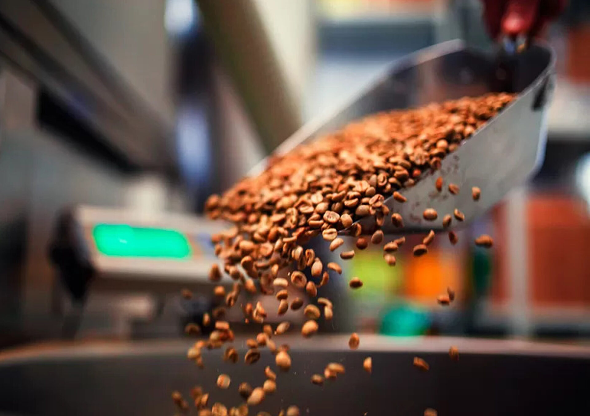 Blog - Baristo Café